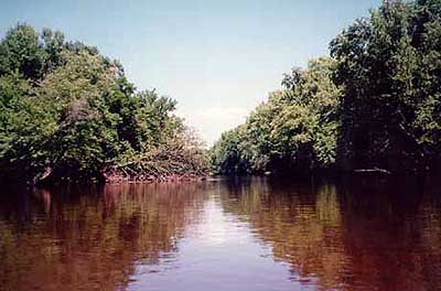 Rivers...The Embarrass.